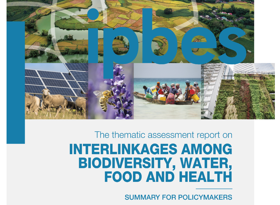 Publication du rapport d'évaluation Nexus de l'IPBES - Entreprises et ...